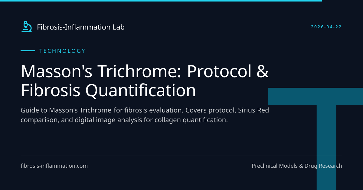 Masson's Trichrome: Protocol & Fibrosis Quantification | Accelerate ...